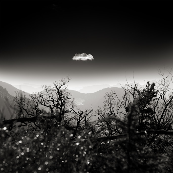 Jean-Louis CHAVAL // Eric FREY - Domaine de la Ferme Saint-Martin